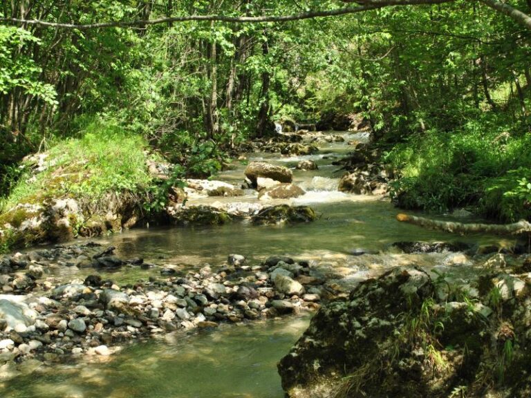 KANJON REKE SKRAPEŽ - Outdoor Srbija